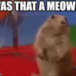 Dramatic Chipmunk Blank Template - Imgflip