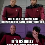 Picard Meme Textos