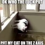Cat in the z axis Meme Generator - Imgflip