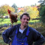 Rooster Meme Generator - Imgflip