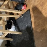 Itty bitty Meme Generator - Imgflip