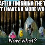 Now What? Meme Generator - Imgflip