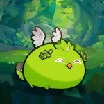 Not Axie Meme Generator - Imgflip