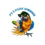 5 o'clock somewhere Meme Generator - Imgflip