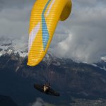 Paraglide Meme Generator - Imgflip