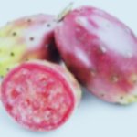 Prickly pear Meme Generator - Imgflip