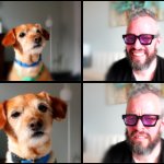 Notmeme: Disagree With The Scamp Meme Generator - Imgflip