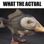 dish Meme Generator - Imgflip