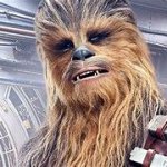 Chewie Meme Generator - Imgflip