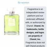 Chanel Disclaimer Meme Generator - Imgflip