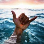 Shaka Shaka Meme Generator - Imgflip