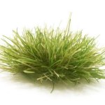 gary meme Meme Generator - Imgflip