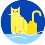 Cat cables Meme Generator - Imgflip