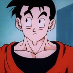 Gohan Meme Generator - Imgflip