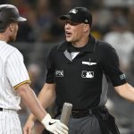 mlb umpire Meme Generator - Imgflip