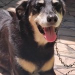 Nega Meme Generator - Imgflip