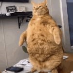 goob Meme Generator - Imgflip