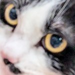 Po Meme Generator - Imgflip