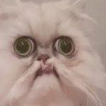 Skooma - Not even once! Meme Generator - Imgflip