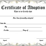 Adoption Meme Generator - Imgflip