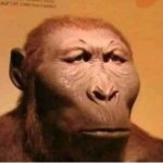 d Meme Generator - Imgflip