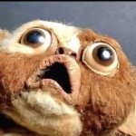 Gizmo Meme Generator - Imgflip