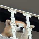 Eavesdropping Meme Generator - Imgflip