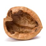 In a nutshell Meme Generator - Imgflip