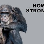 asdasd Meme Generator - Imgflip