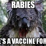 Angry Koala Meme Generator - Imgflip