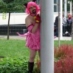 meleg macska Meme Generator - Imgflip