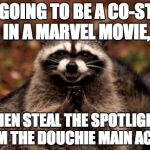 Evil Plotting Raccoon Meme Generator - Imgflip