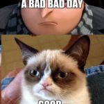 Grumpy Cat Meme Generator - Imgflip