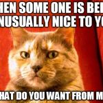 Suspicious Cat Blank Meme Template - Imgflip