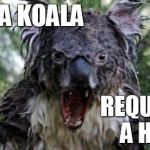 Angry Koala Meme Generator - Imgflip