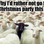 black sheep Meme Generator - Imgflip