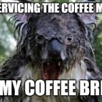 Angry Koala Meme Generator - Imgflip