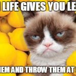Grumpy Cat lemons Meme Generator - Imgflip