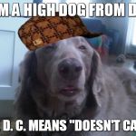 High Dog Meme Generator - Imgflip