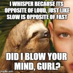 Whisper Sloth Meme Generator - Imgflip