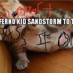 Help Me Kitten Meme Generator - Imgflip