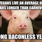 pig Meme Generator - Imgflip