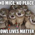 Excited Owls Meme Generator - Imgflip