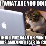 Cat using computer Meme Generator - Imgflip