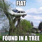 car in tree Meme Generator - Imgflip