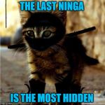 Ninja Cat Meme Generator - Imgflip