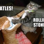 Two cats fighting for real Meme Generator - Imgflip