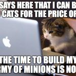 Cat using computer Meme Generator - Imgflip