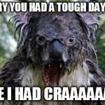 Angry Koala Blank Meme Template - Imgflip