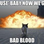 cat explosion Meme Generator - Imgflip